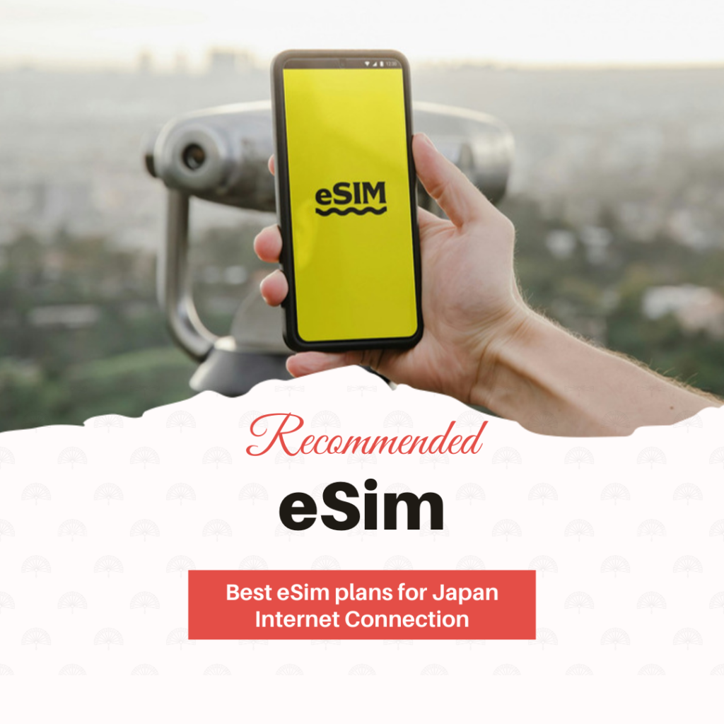 Best Esim for Japan - Guide and Comparison - Daniele from Rome to Japan